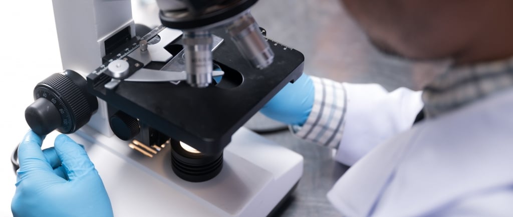Is Doing A Phd Worth It Discoverphds