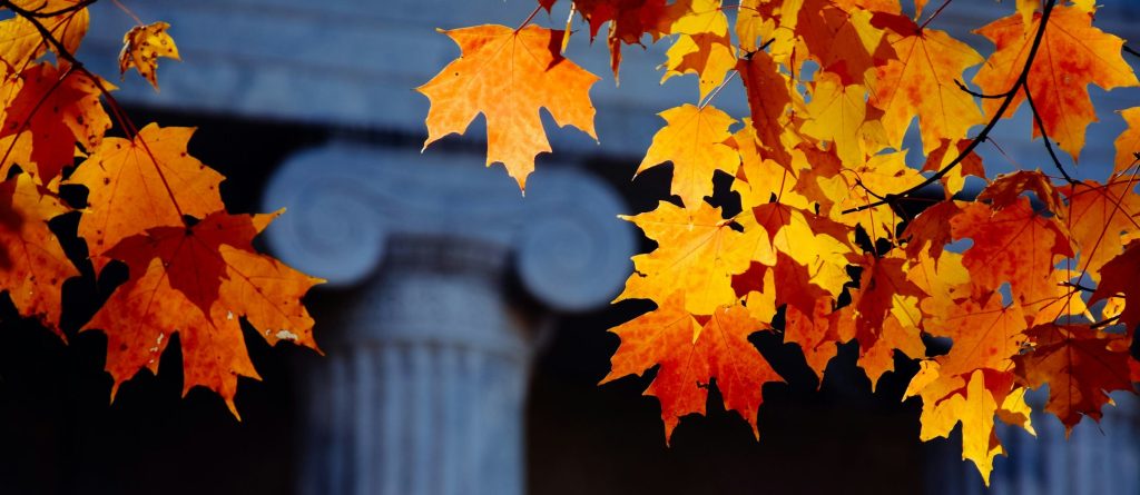 National Science Foundation (NSF) Funding: A Comprehensive Guide ...